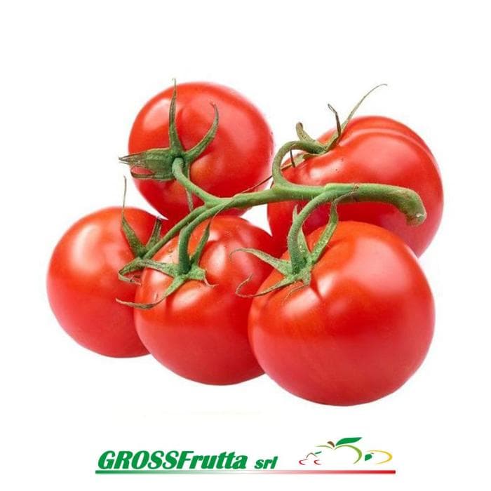 POMODORO GRAPPOLO | GrossFrutta