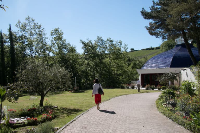 Online Community | Ananda