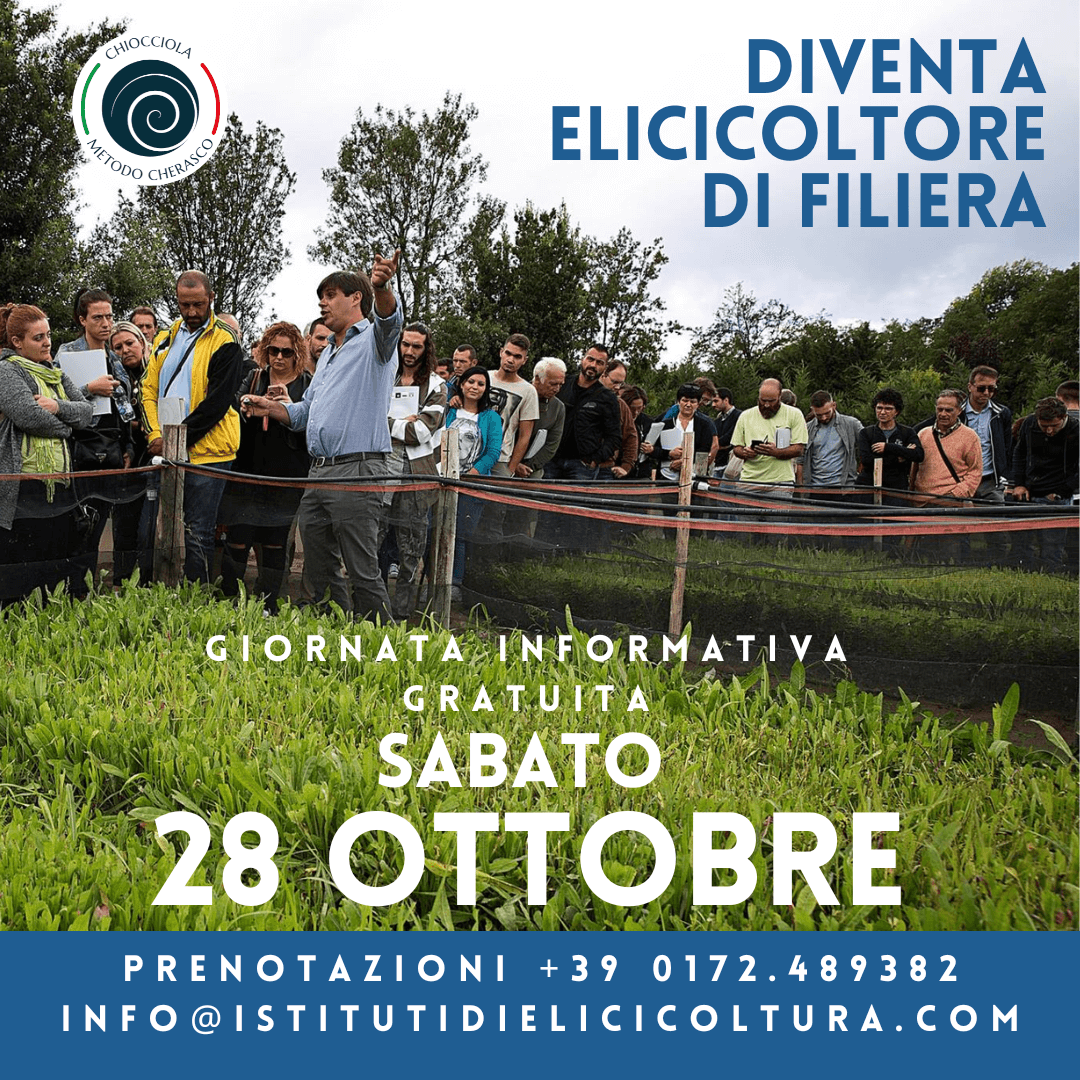 New Information Day: Saturday, October 28th, 2023. | Istituto ...