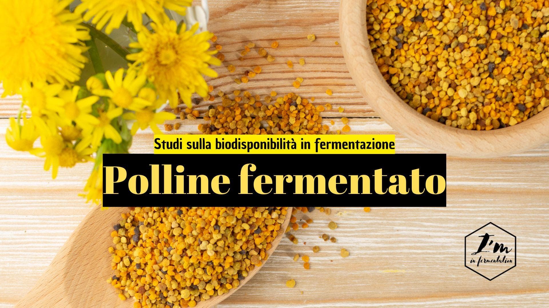 Nutraceutica: come la fermentazione migliora la biodisponibilità del ...